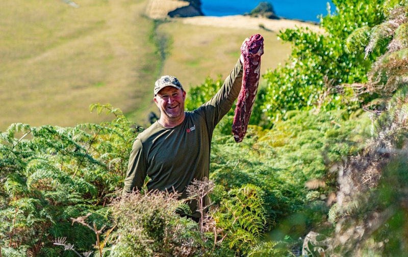 Meat Hunt - Full Day Venison Meat Hunt - Top Of The Lake Guiding